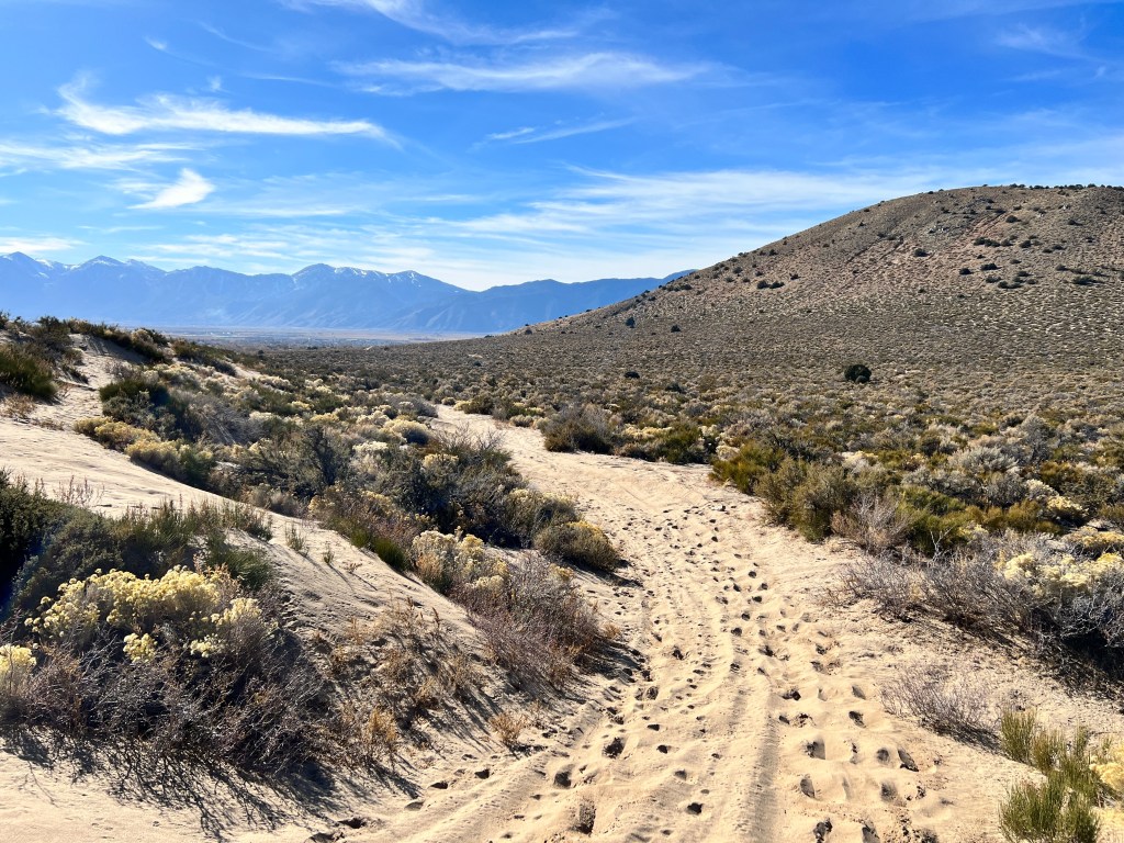 Stephanie Way - Nevada Horse Trails