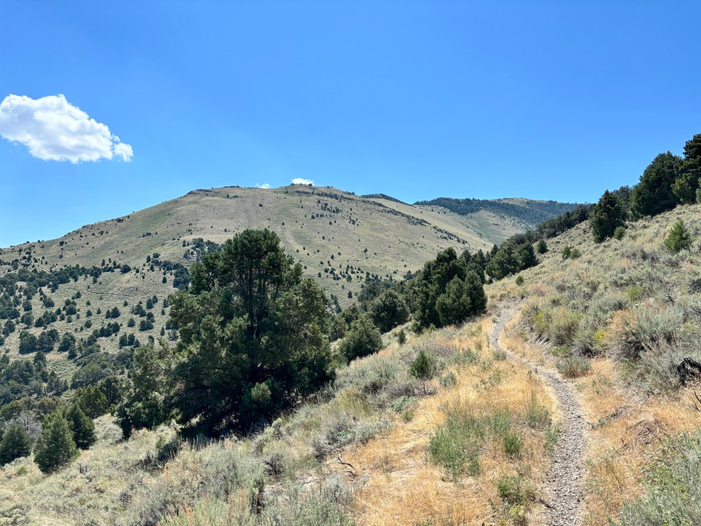 Ward Mountain Recreation Area (South)