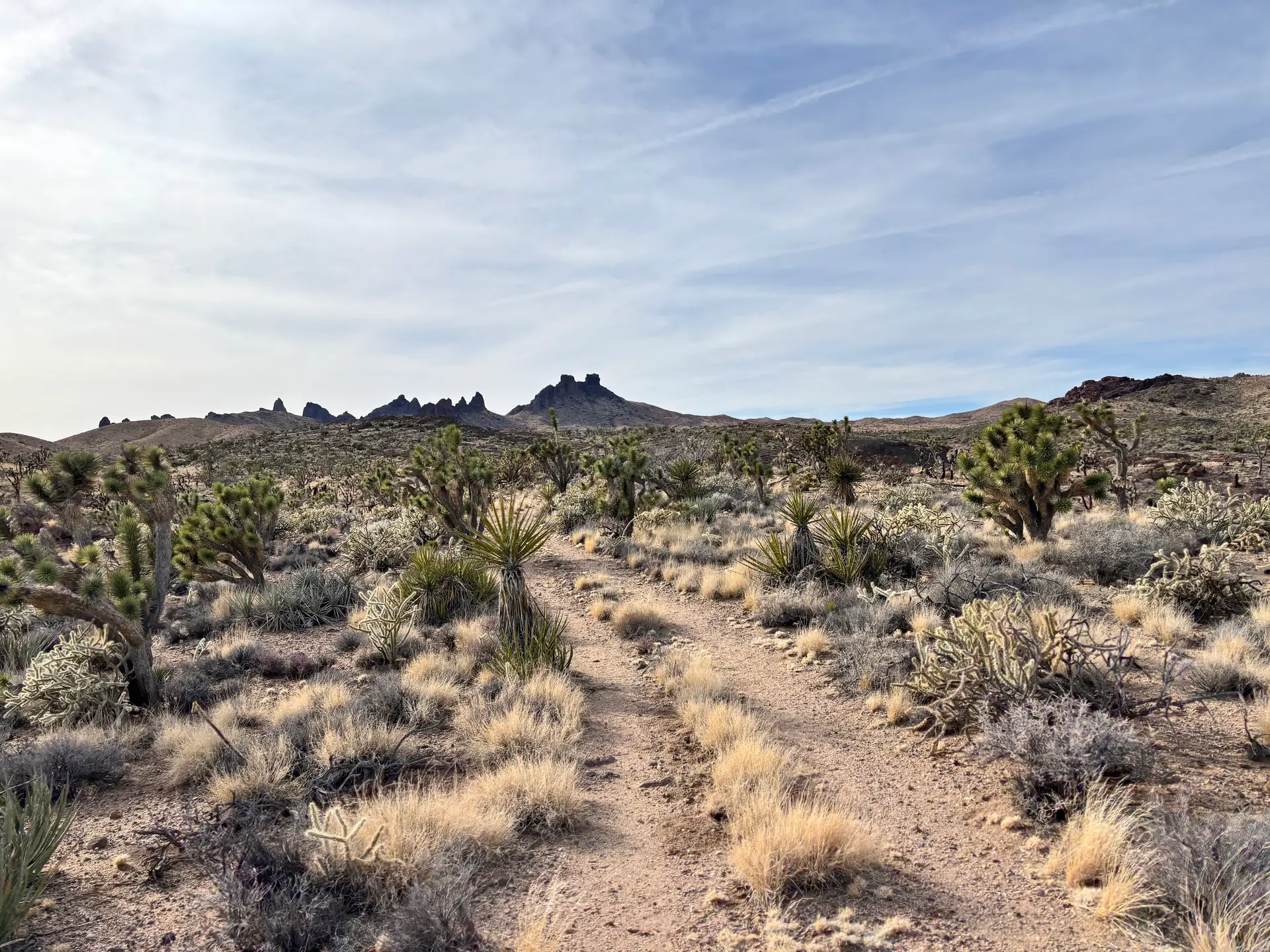 Castle Mountains Grasslands Trail