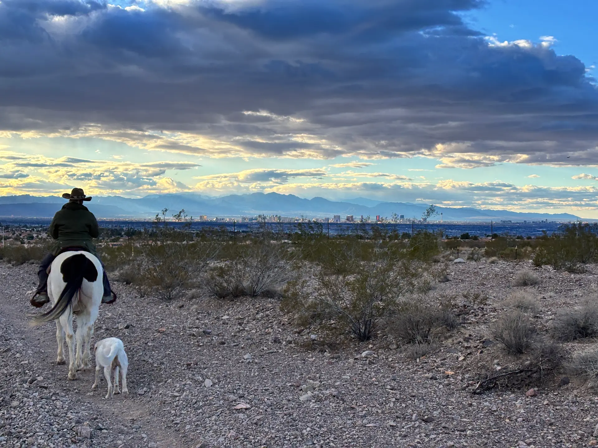 River Mountains Loop - Nevada Horse Trails